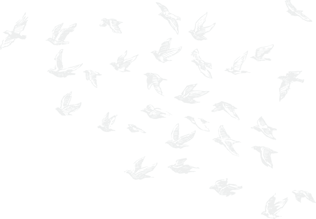 Facilities | Luxury Lodges For Sale And Hire | Ashlea Pools